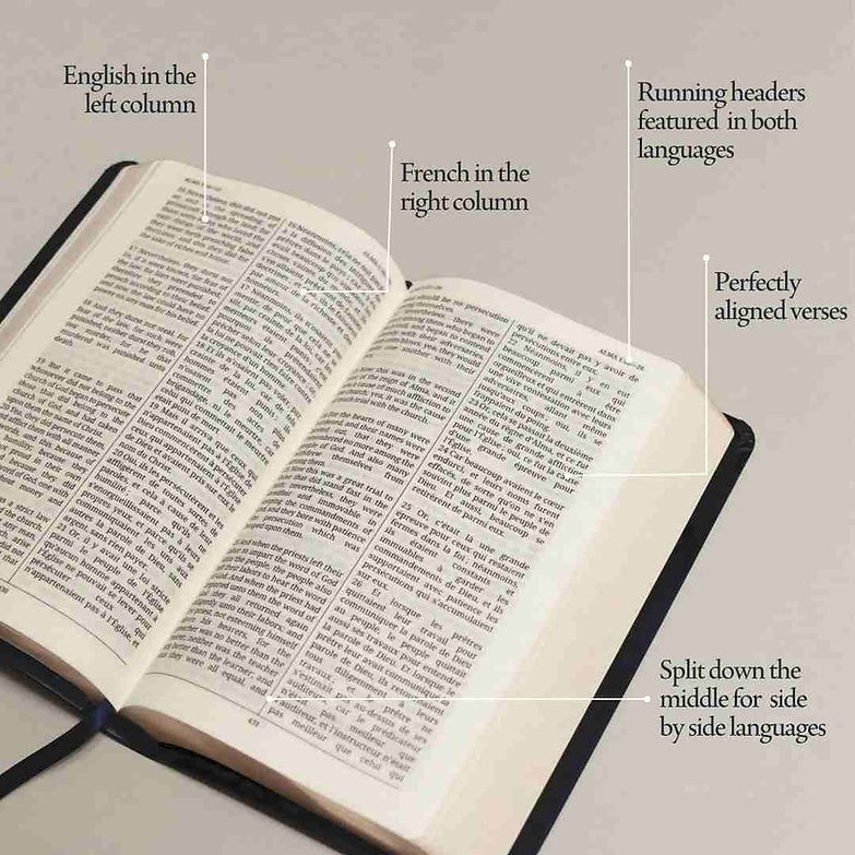 Français - The Dual Language Book of Mormon – Native Scripture