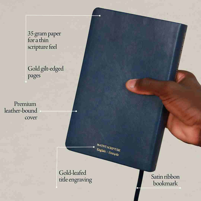 Français - The Dual Language Book of Mormon – Native Scripture